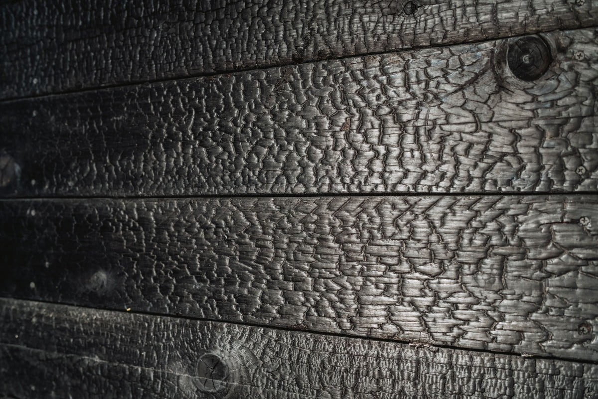 Tamashii Design – Tamashii Gallery