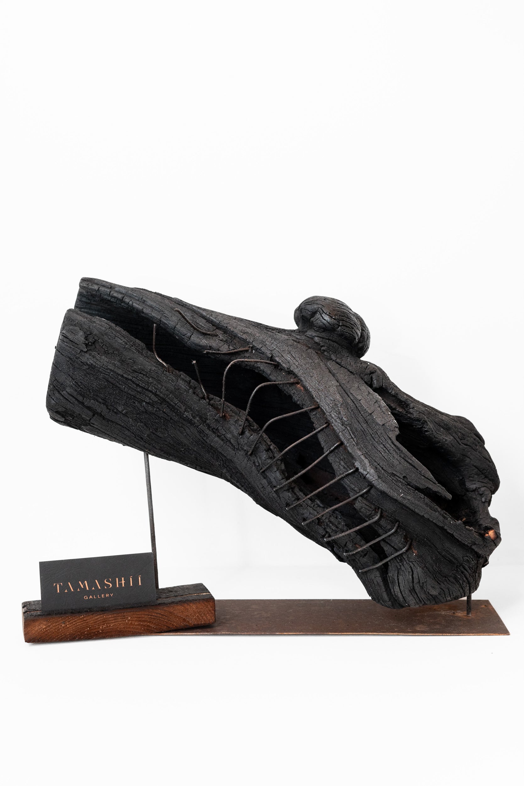 Tamashii Design – Tamashii Gallery