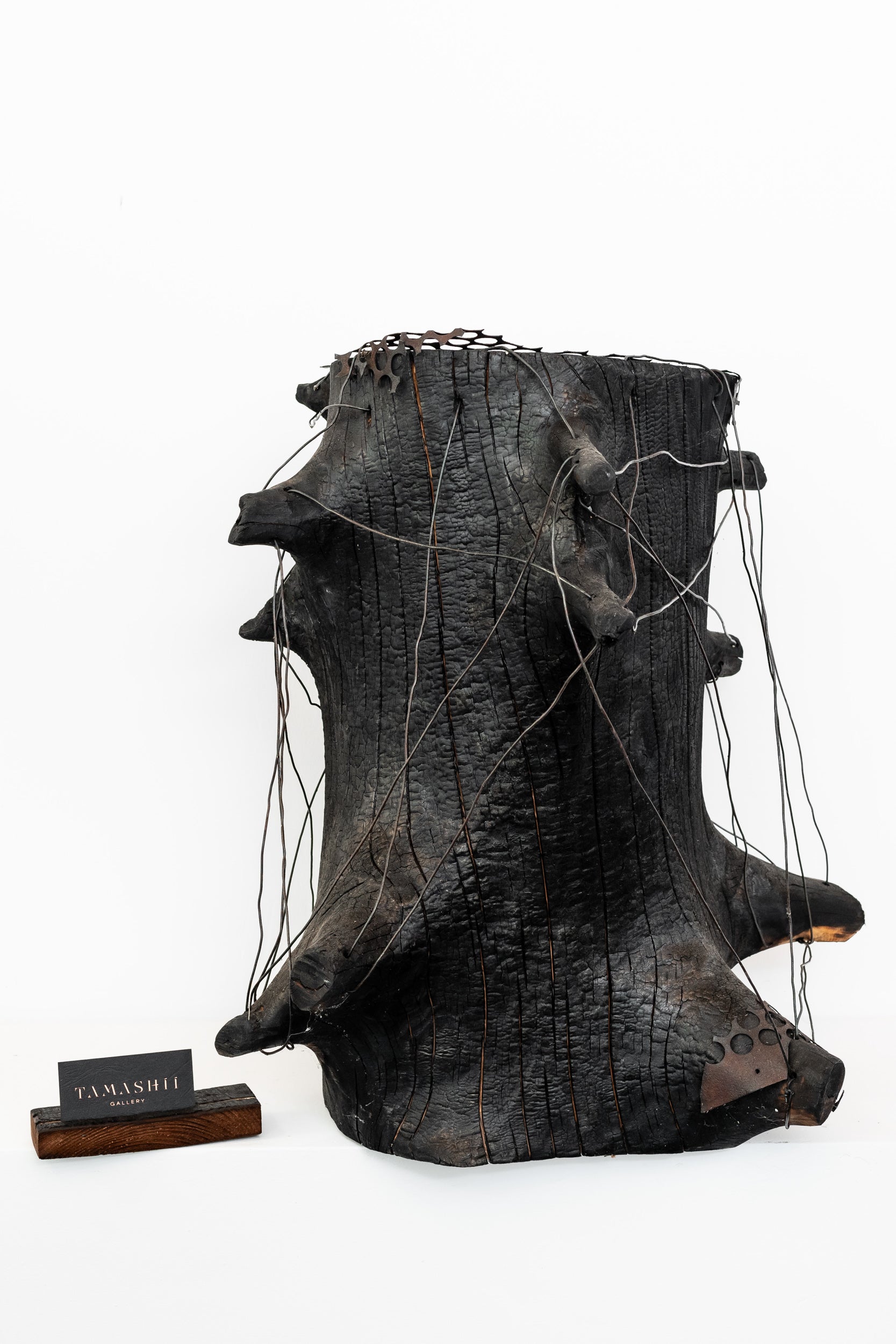 Dictatorship – Tamashii Gallery