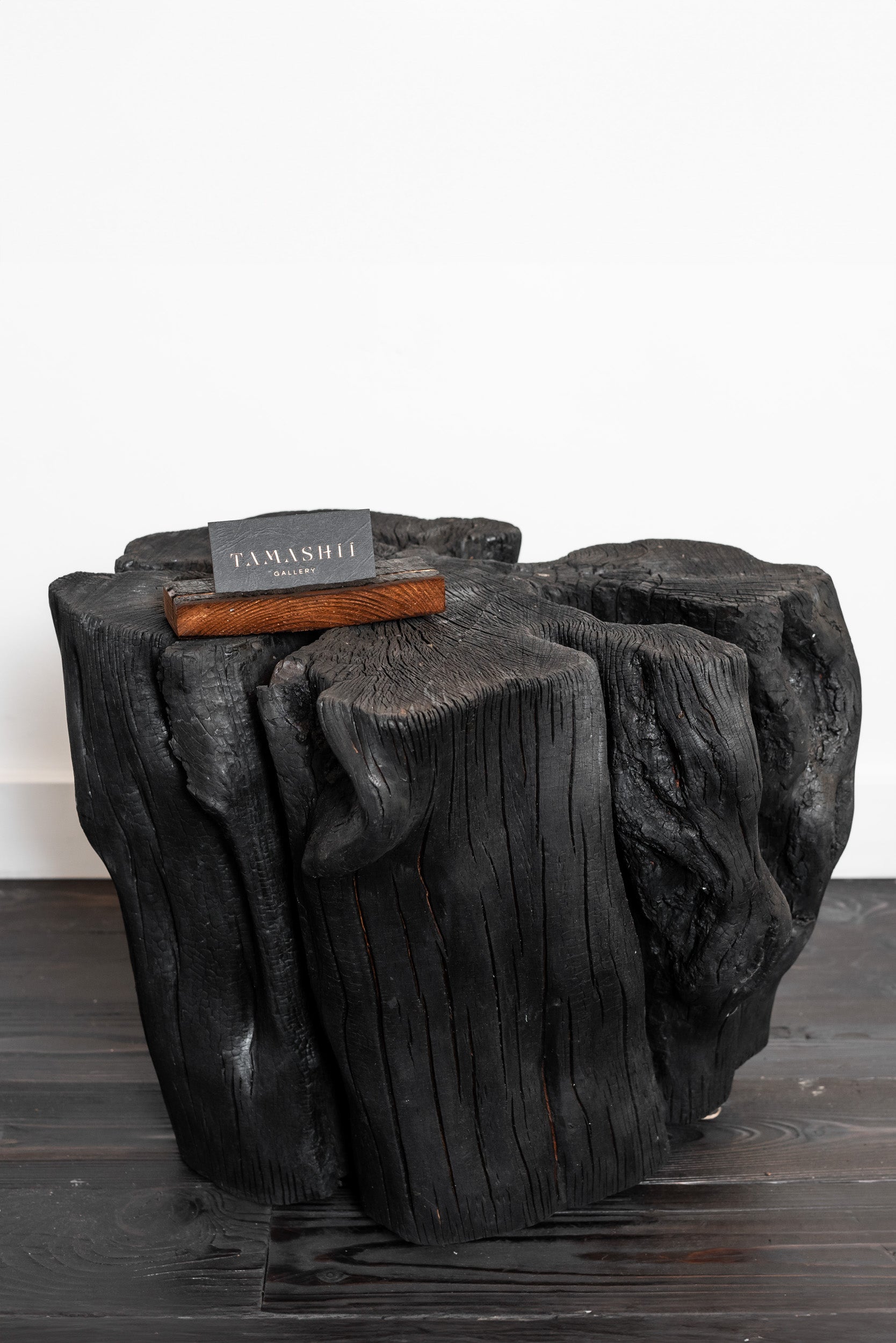 Tamashii Design – Tamashii Gallery