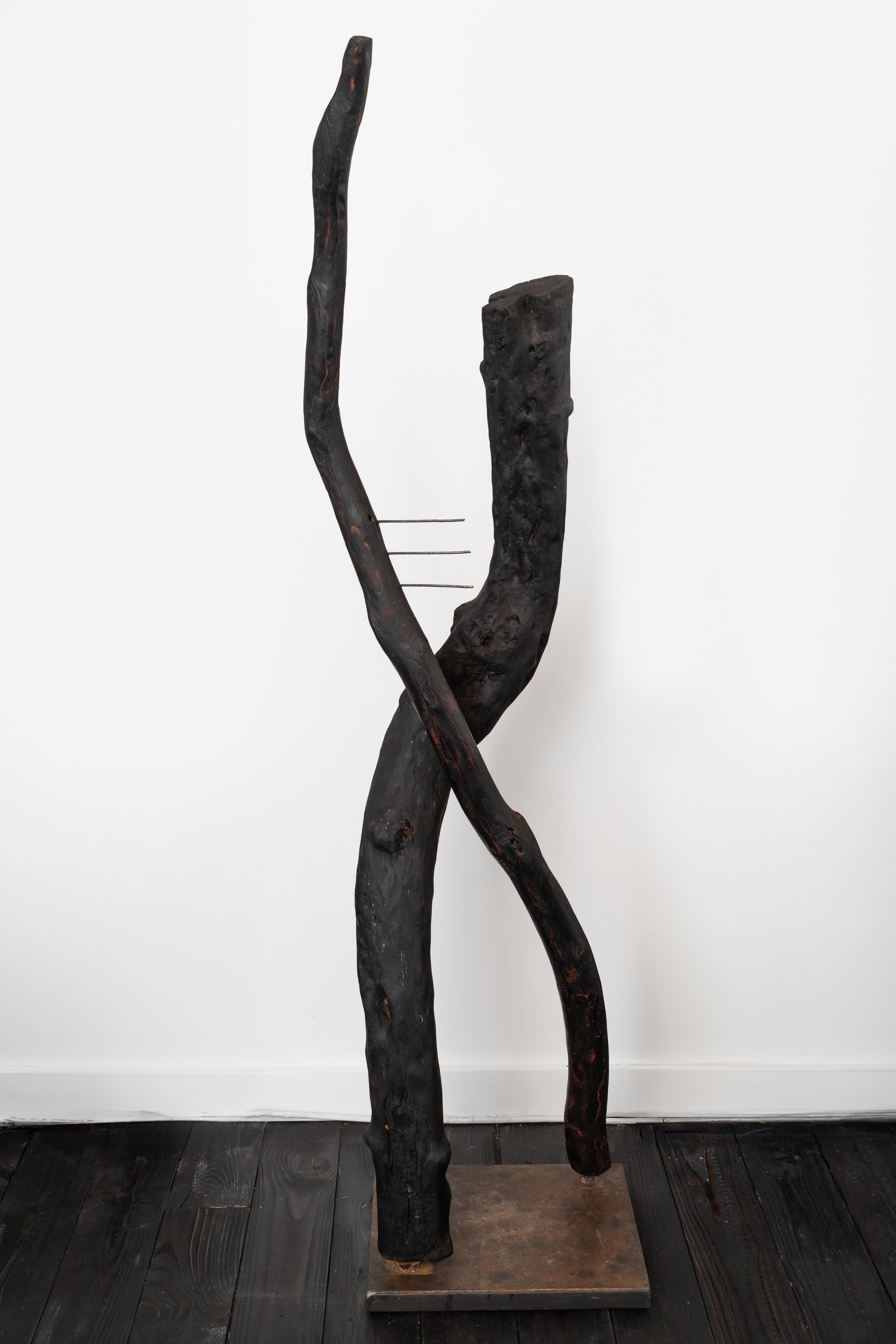 Tamashii Design – Tamashii Gallery