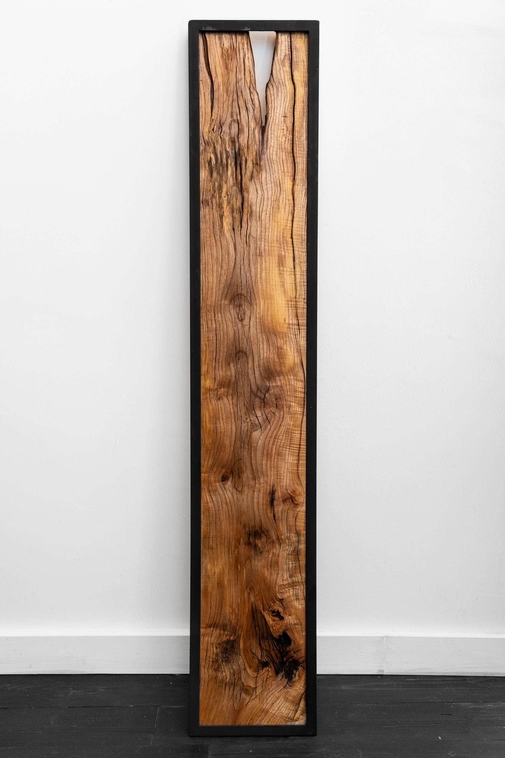 Tamashii Design – Tamashii Gallery