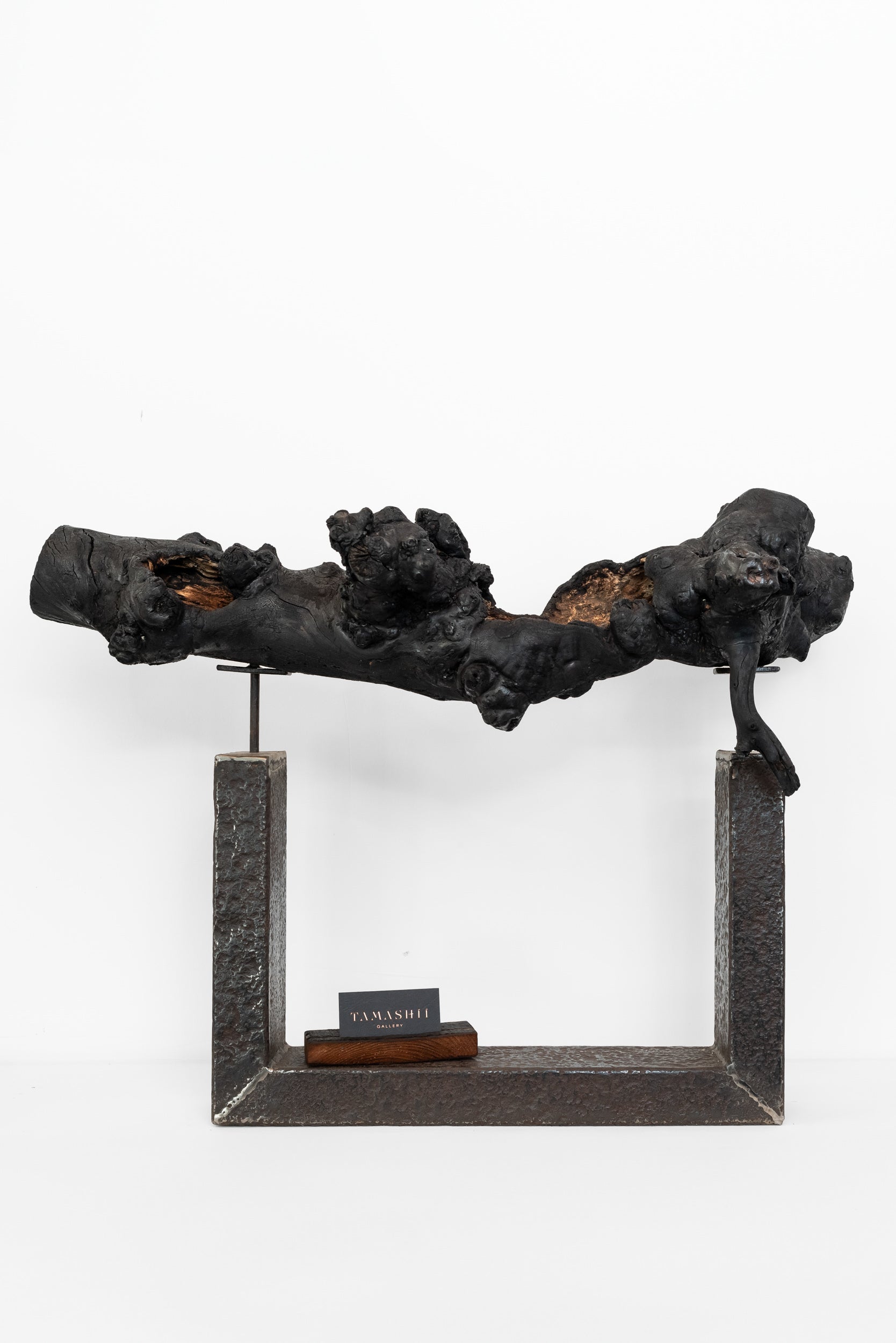 Tamashii Design – Tamashii Gallery