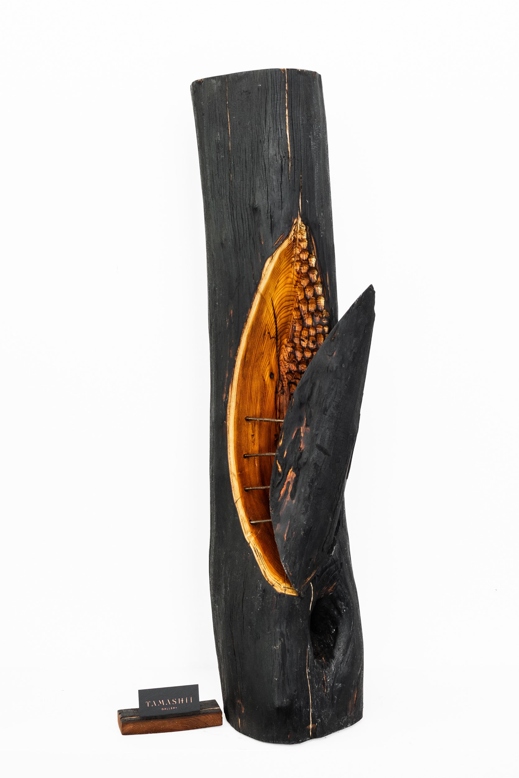 Tamashii Design – Tamashii Gallery